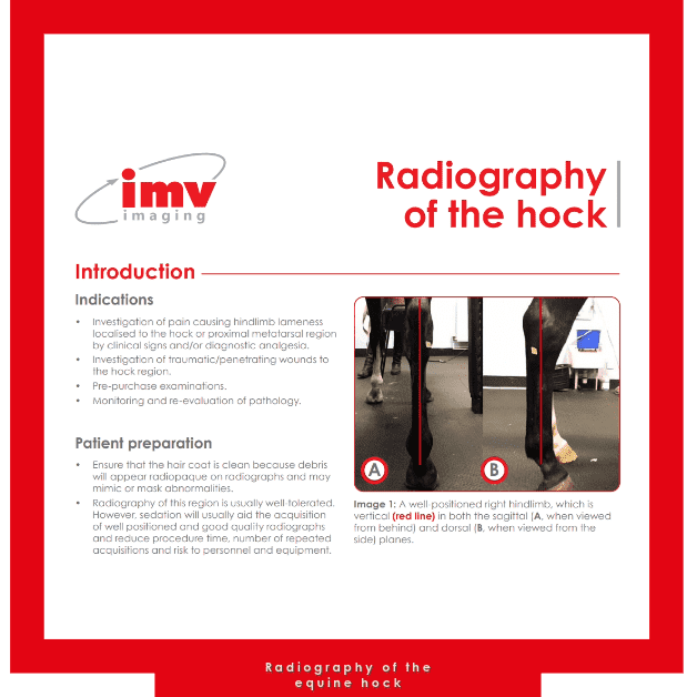 Journal Club: Manually facilitated flexion of the thoracic spine: IMV