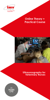 IMV Imaging | Veterinary imaging equipment supplier