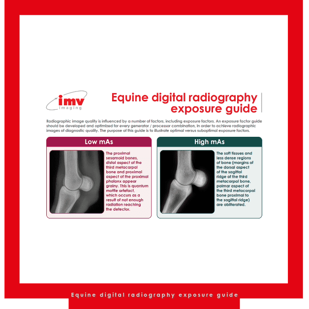 Webinar: Equine Carpus Radiography