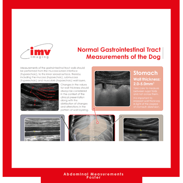 Abdominal Ultrasonography Series > Basic Gastrointestinal tract