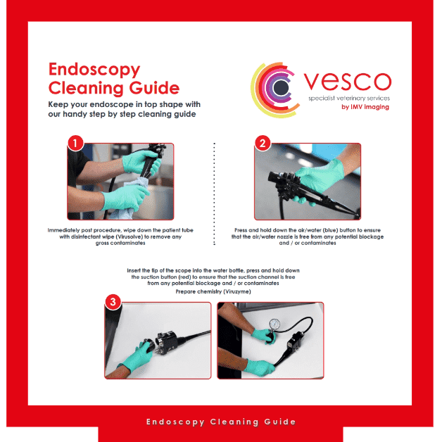 Annotated Endoscope Free Poster