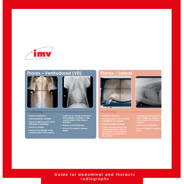 Thoracolumbar X-ray positioning guide: Free Download