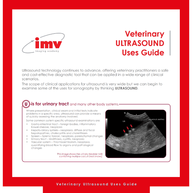 Ultrasound Imaging Basics: Free Webinar | IMV Imaging