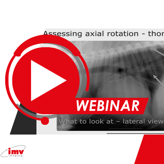 Thoracolumbar X-ray positioning guide: Free Download