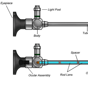 Anatomy of Endoscope System: Free Download| IMV Imaging