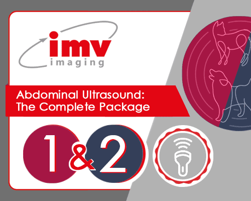 Abdominal Ultrasound: The Complete Package | IMV imaging