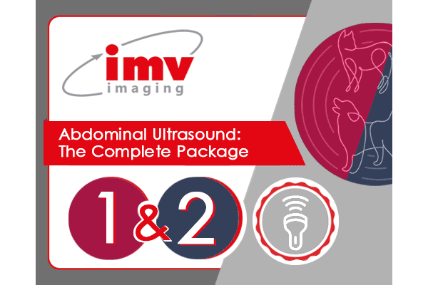 Abdominal Ultrasound: The Complete Package | IMV imaging
