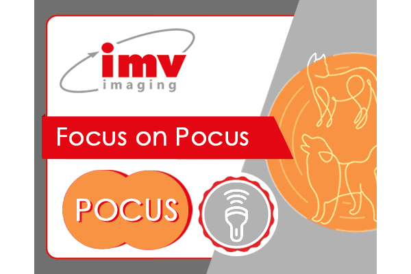 Focus on Pocus Online Course | IMV Imaging