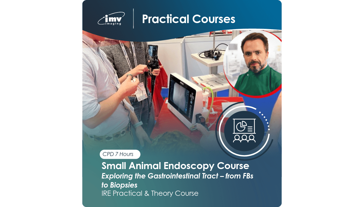 Small Animal Endoscopy Course – Exploring the Gastrointestinal Tract ...