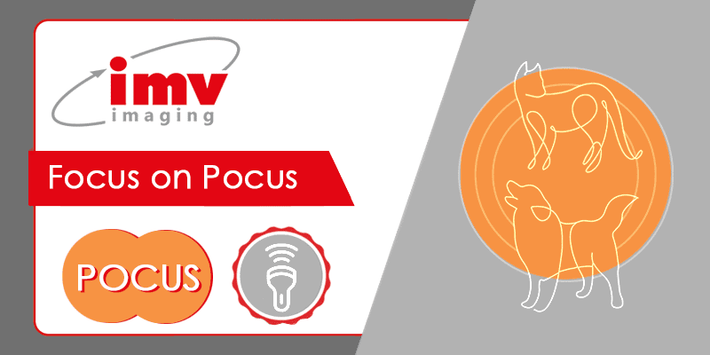 Focus on Pocus Online Course | IMV Imaging