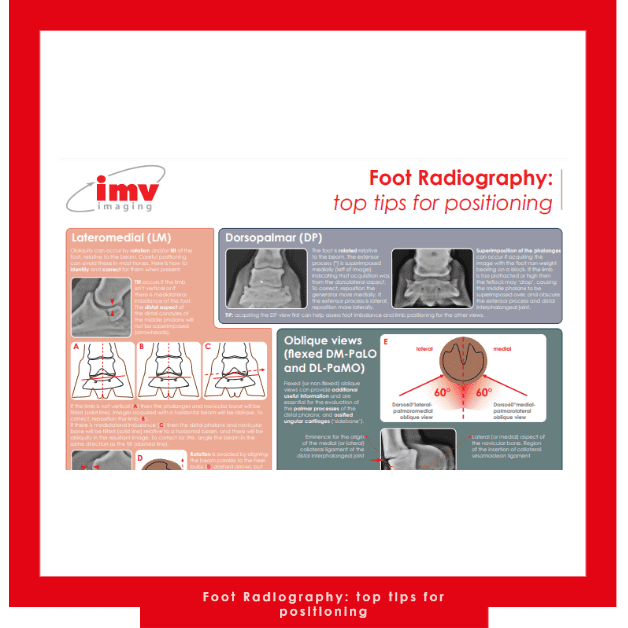 CVS Equine - Imaging Resources | IMV Imaging