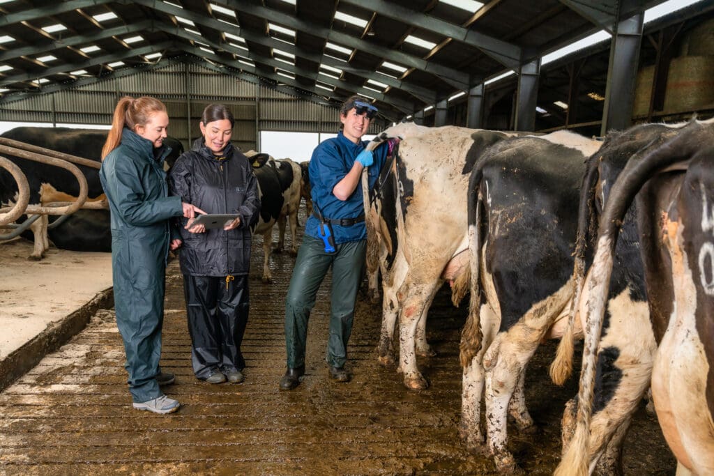 Farm Ultrasound - Everything You Need to Know | IMV imaging