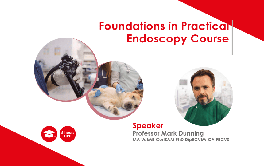 Foundations in Practical Endoscopy (East Midlands - 4/12/24) | IMV Imaging