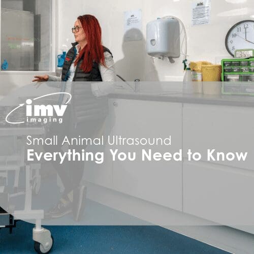 Echo Measurements Poster