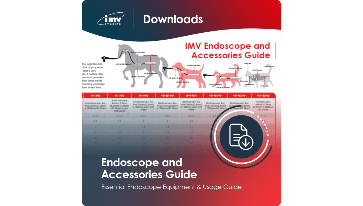 Free Download: IMV Endoscope and Accessories Guide | IMV imaging