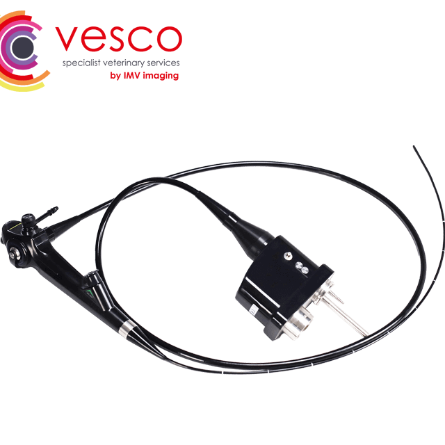 Free Download: IMV Endoscope and Accessories Guide | IMV imaging