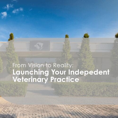 New start veterinary practice