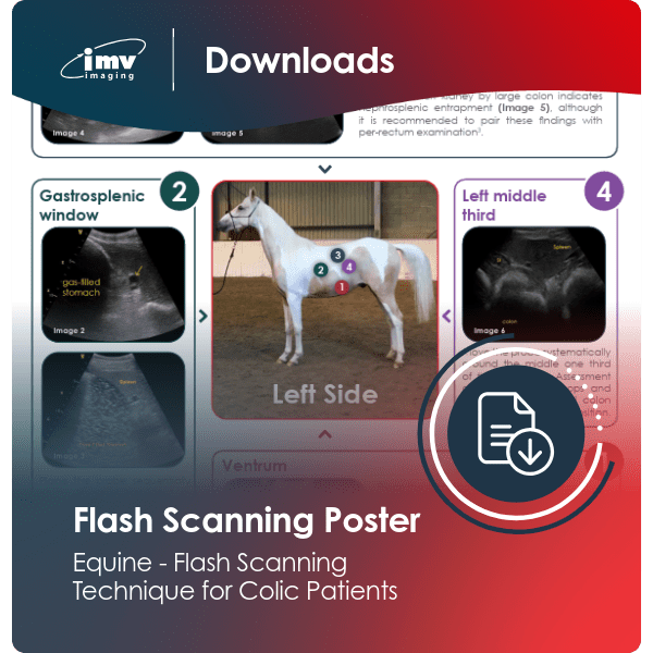 CVS Equine - Imaging Resources | IMV imaging