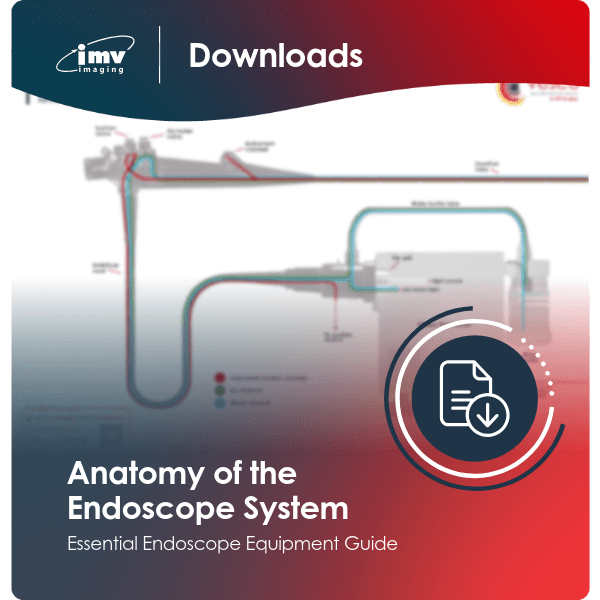Free Download: IMV Endoscope and Accessories Guide | IMV imaging