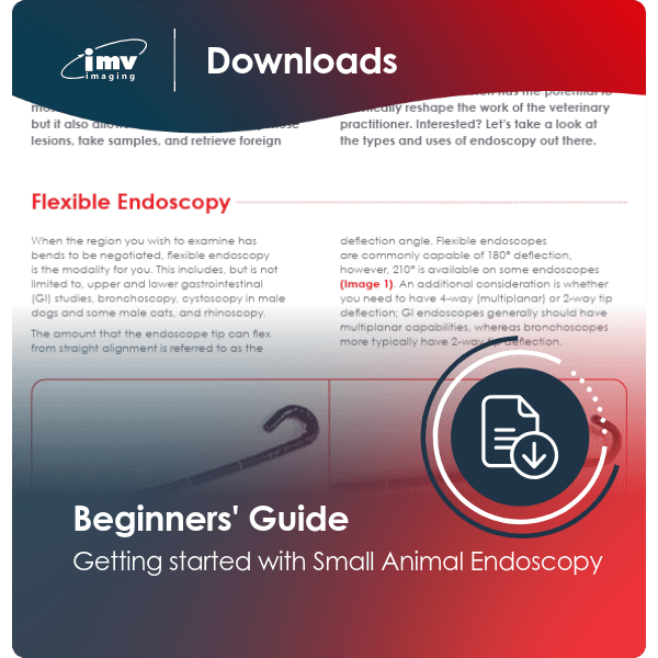 Guide to cleaning your endoscope (MVE-9215) | IMV imaging
