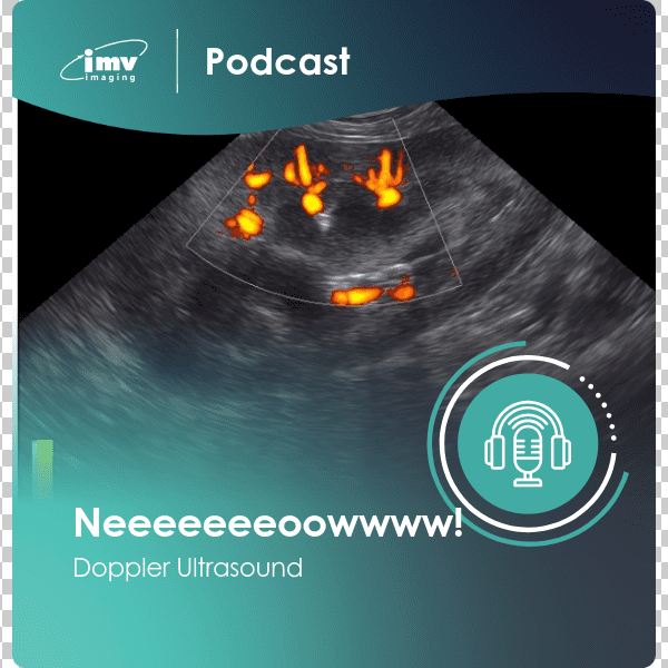Ultrasound Image Optimisation IMV Imaging