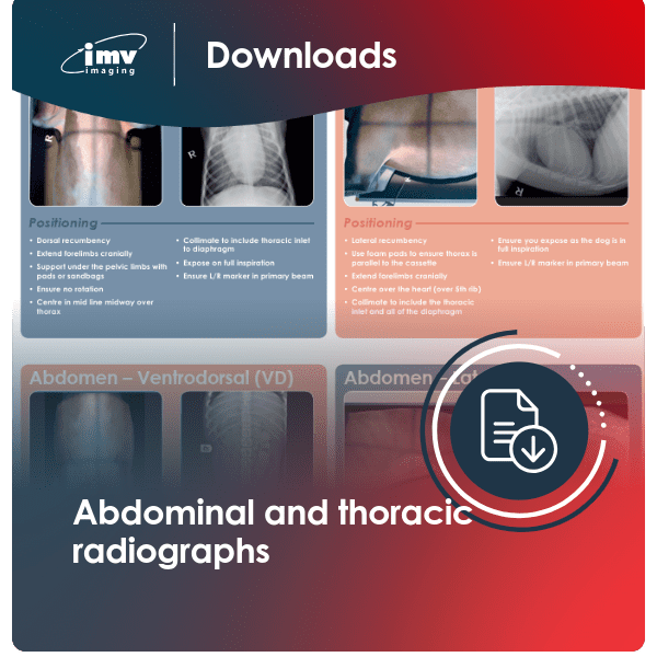 Thoracolumbar X-ray positioning guide: Free Download