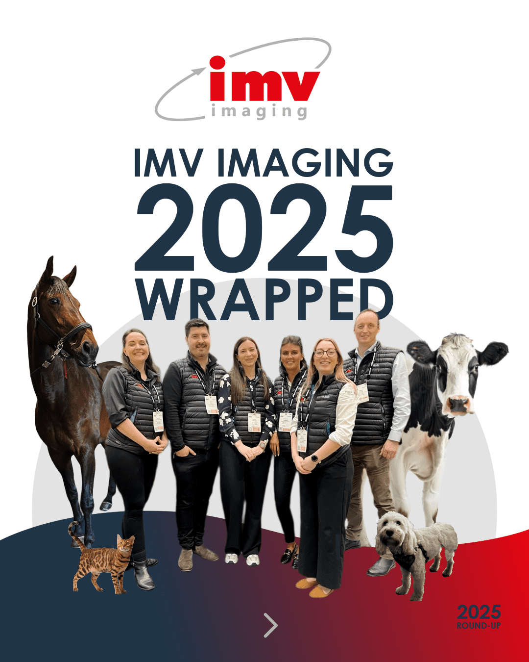 2025 Wrapped Up | IMV imaging