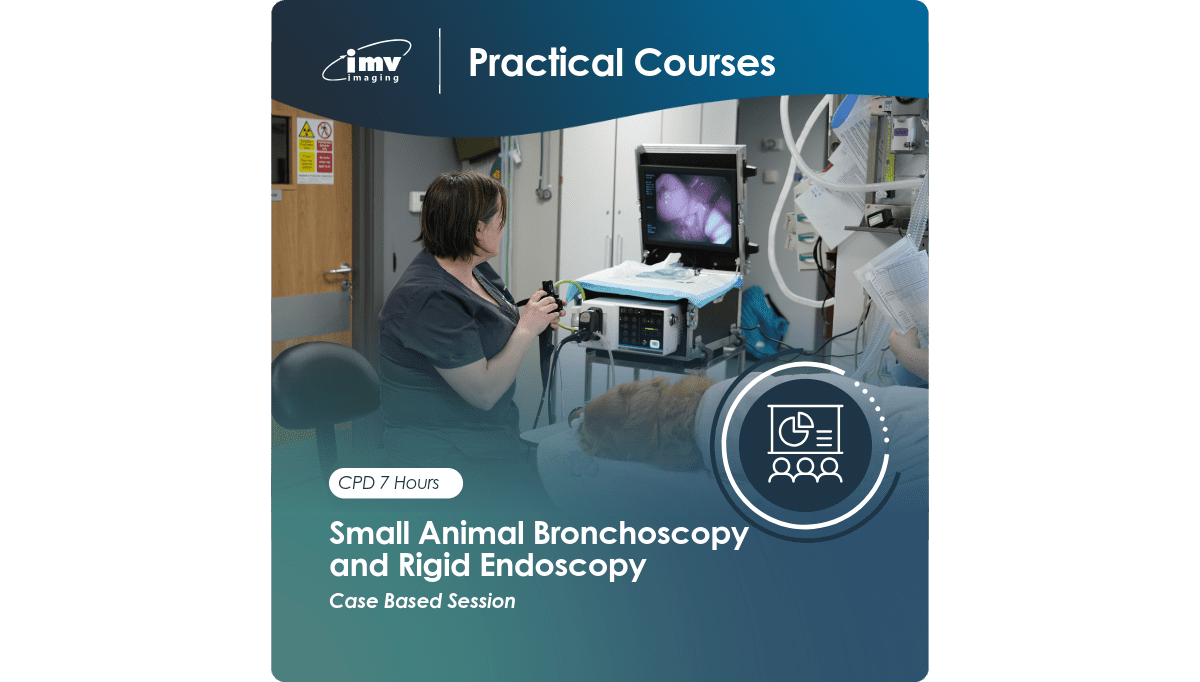 Small Animal Bronchoscopy and Rigid Endoscopy – How can I use these in ...