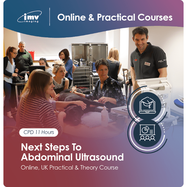 Introduction to Abdominal Ultrasound Theory & Practical Course